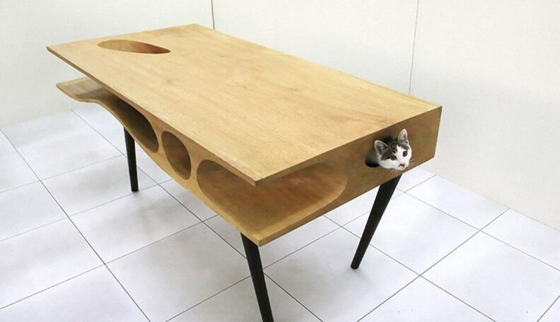 Designers Finally Invent A Table Catered For Cats - The Dodo
