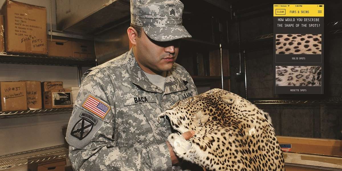 The Newest Weapons Against Poachers Are Our Phones - The Dodo