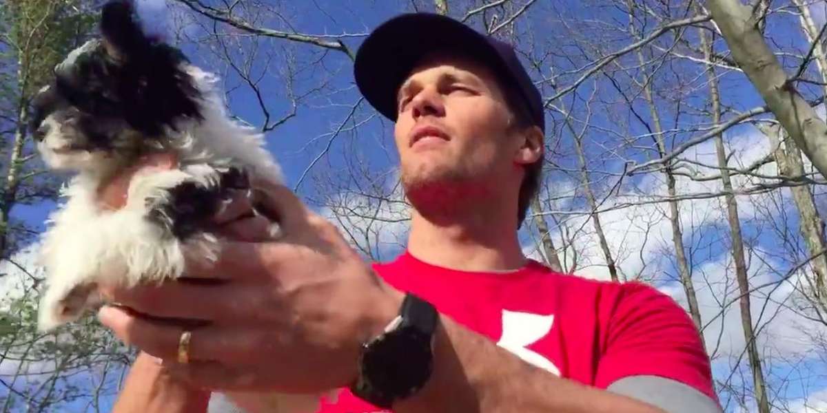 Tom Brady Shows Off His New Rescue Dog In The Most Creative Way - The Dodo