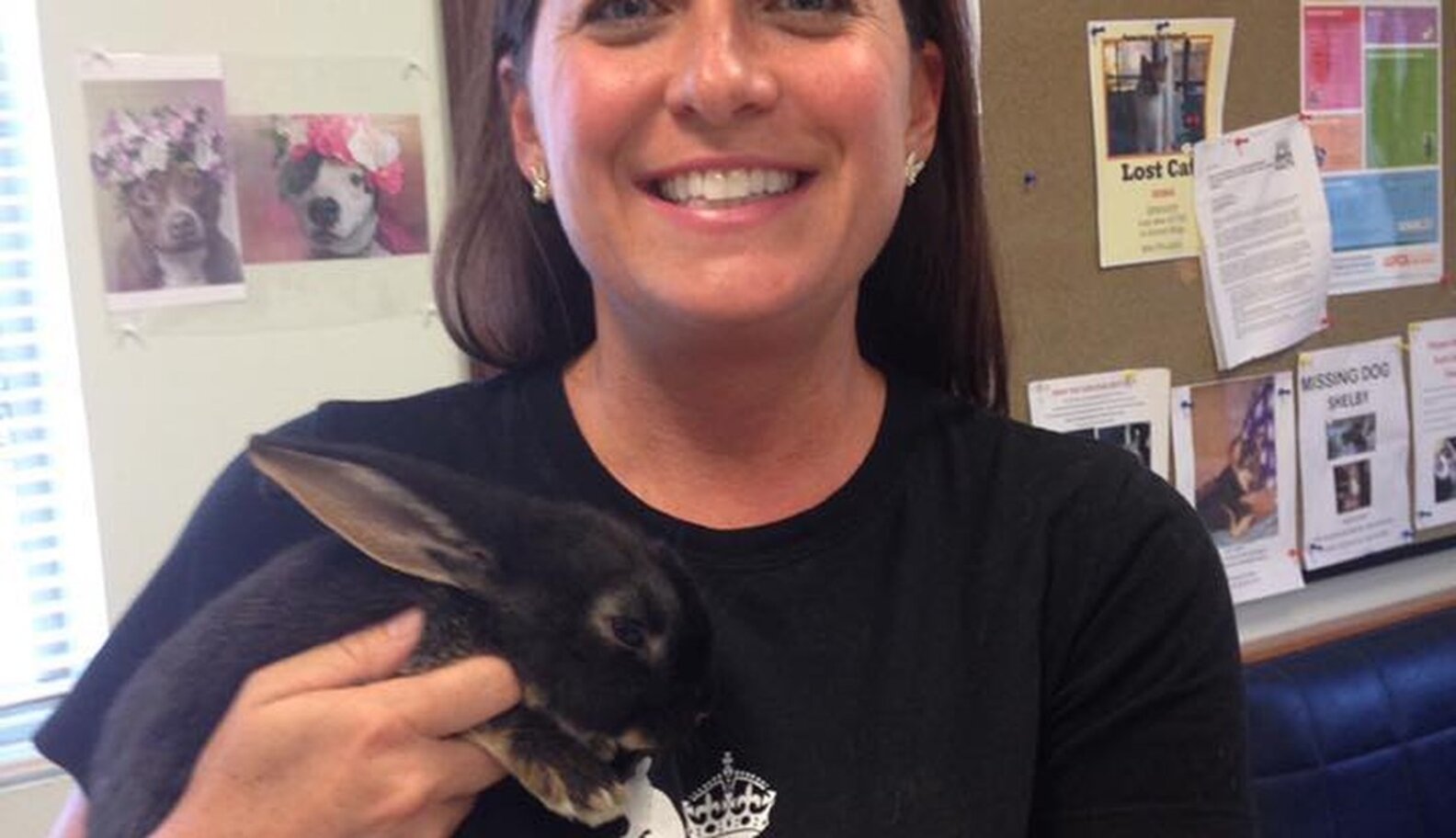 Rabbit Abused In Viral Video Is Now Showered With Gifts - The Dodo