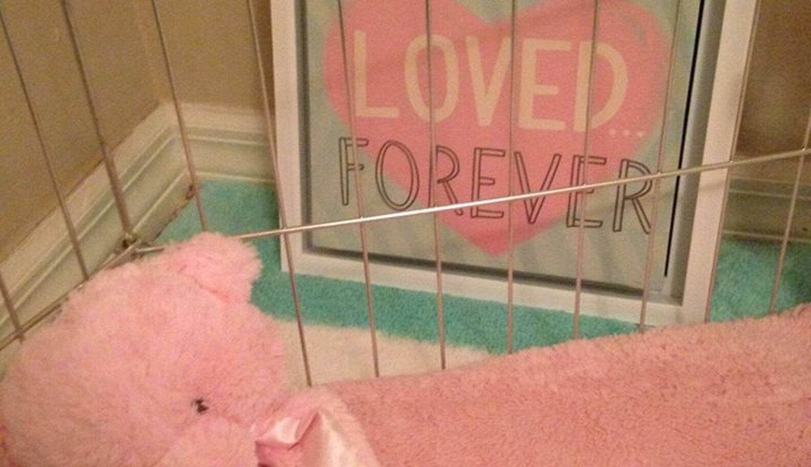 Rabbit Abused In Viral Video Is Now Showered With Gifts - The Dodo