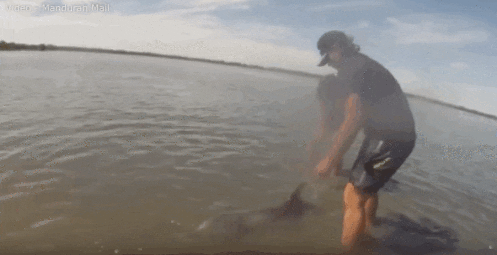 Stranded Baby Dolphin Calms Down So That Teenagers Can Help Him - The Dodo