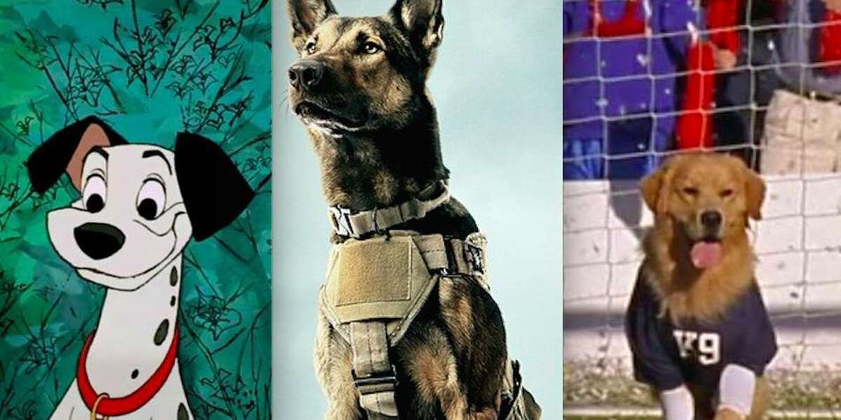 Are You Really Ready To Own That Dog From The Movie? - The Dodo