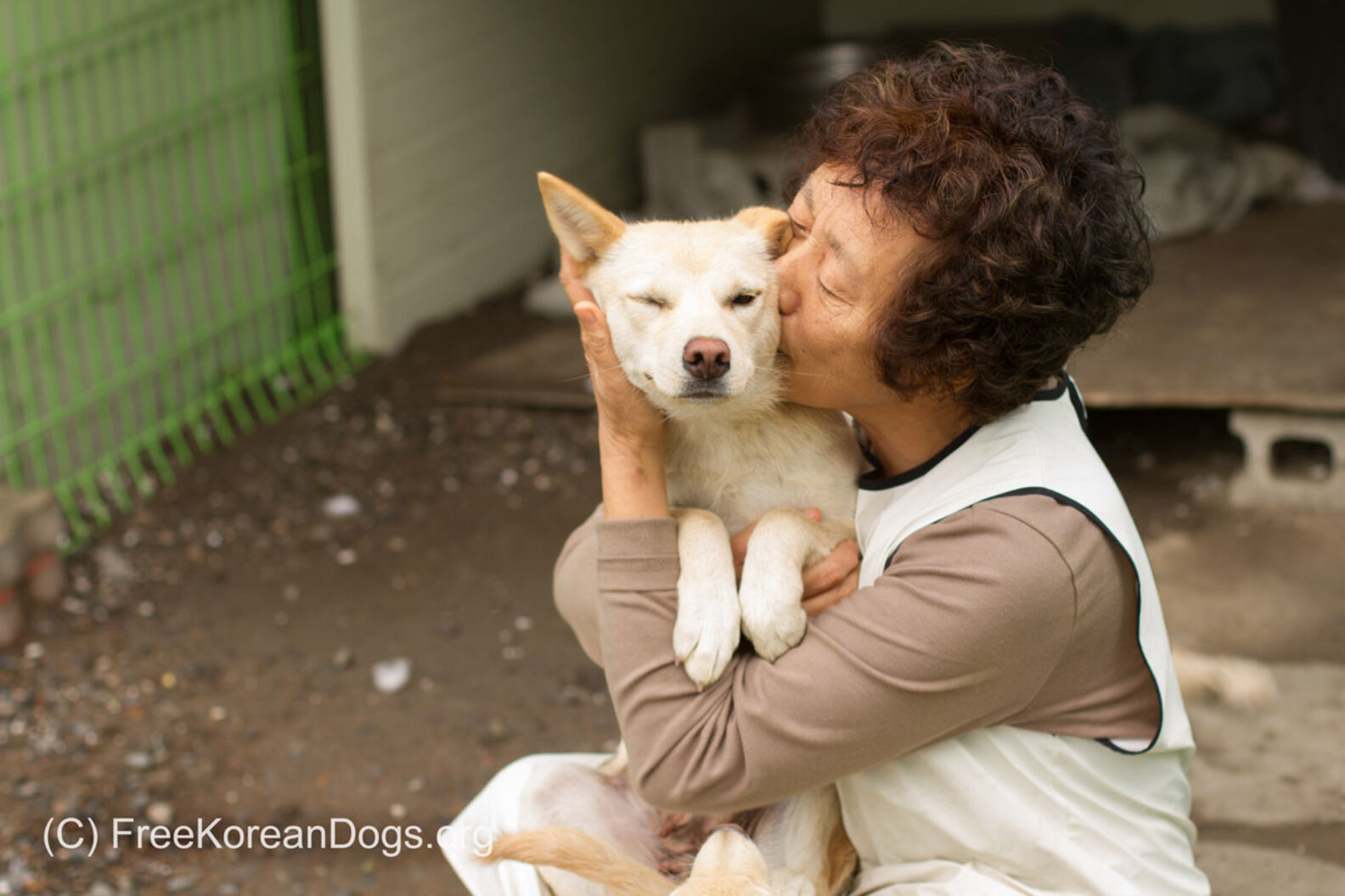 Woman Gives Up Everything To Save Hundreds Of Dogs From Street - The Dodo