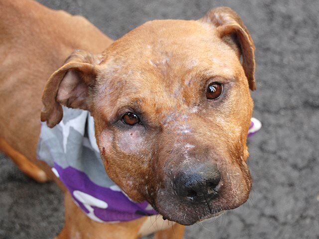 Thousands Of People Rallied To Save Her From Death Row, And Now Nobody ...