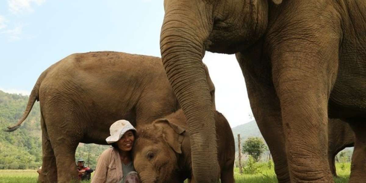 One Incredible Woman, With A Deep Connection With Her Elephants ...