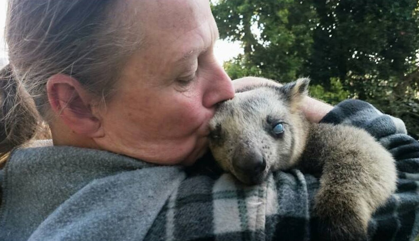 Blind Baby Tree Kangaroo Was Terrified Of The World — Until She Got Her ...