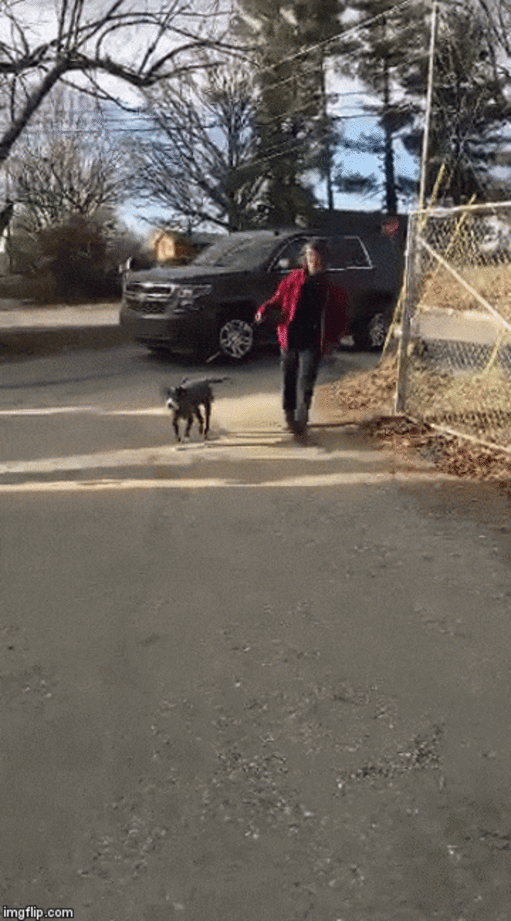 Mudhole Dog Reunites With The Construction Workers Who Saved Him - The Dodo