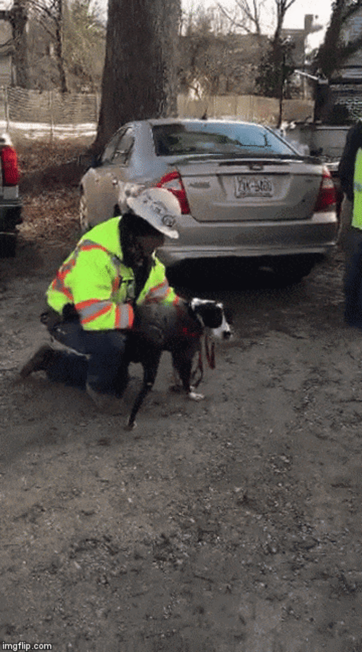 Mudhole Dog Reunites With The Construction Workers Who Saved Him - The Dodo