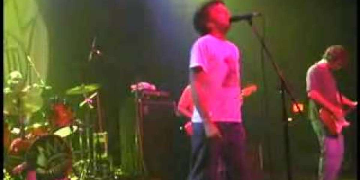 Transdermal Celebration - Ween Live - The Dodo