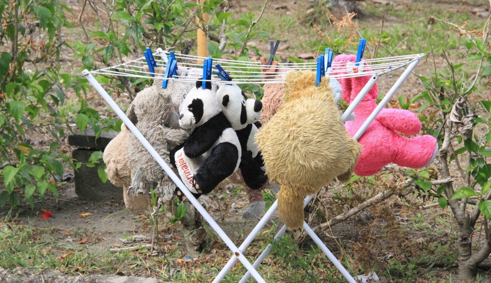 Rescued Baby Orphans Keep Cozy With Stuffed Animals - The Dodo