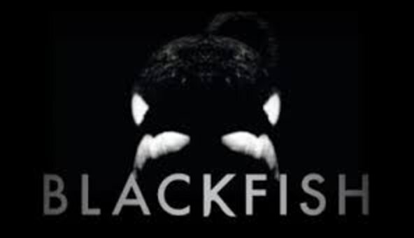 "We also wonder if SeaWorld did a cost-benefit analysis about taking ...