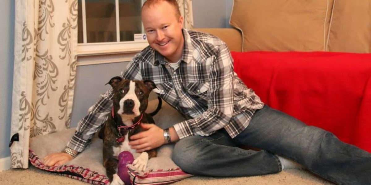 After 7 Years In A Shelter, 'Princess' The Pit Bull Finally Finds Her ...
