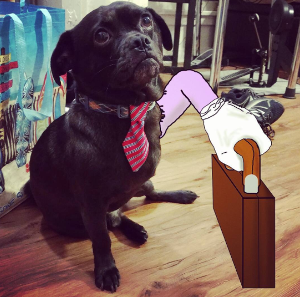 Dog With Three Legs Gets A New Cartoon Leg Every Day - The Dodo