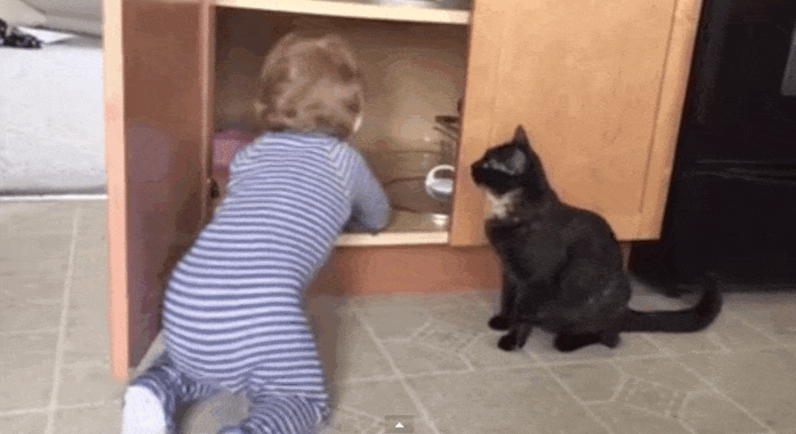 Cat Has A Brilliant Plan To Get Rid Of Baby - The Dodo