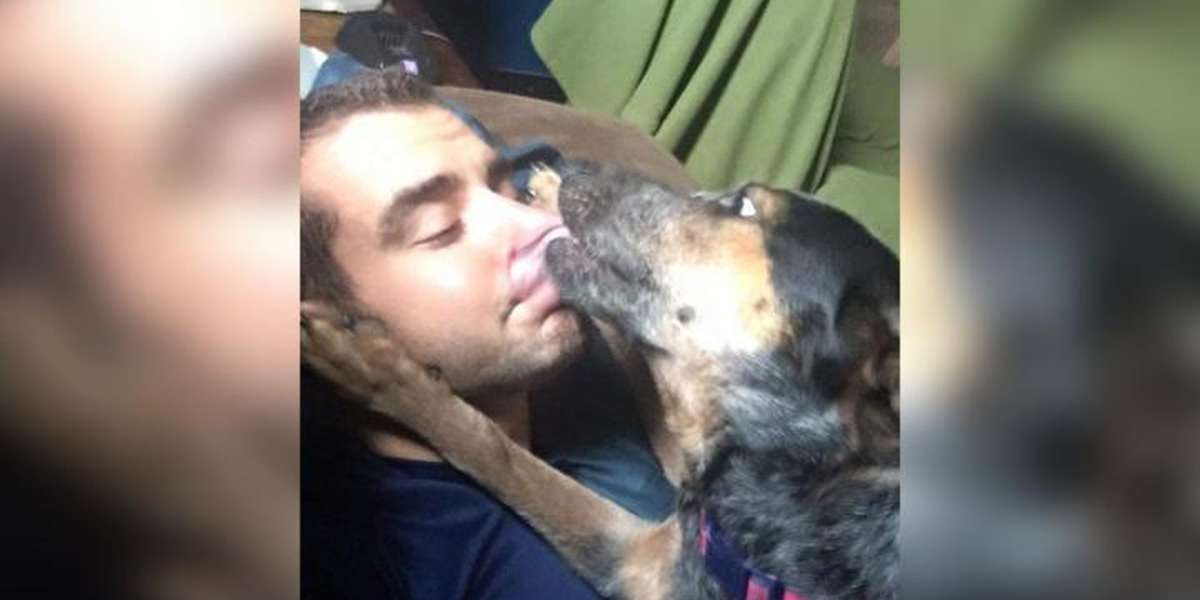 Paramedics Show Up To A Call — And Find A Dog No One Knew Existed - The ...