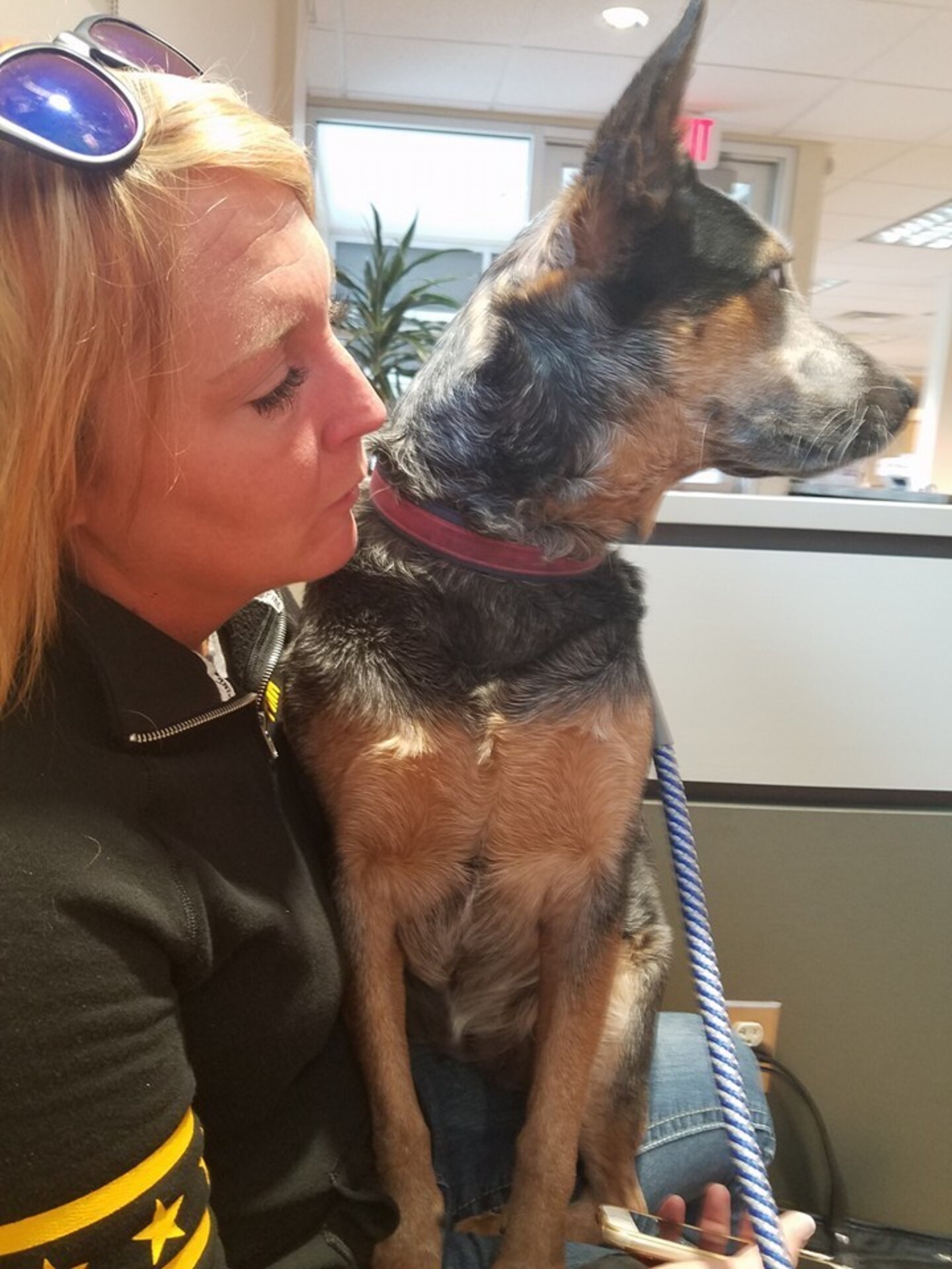 Paramedics Show Up To A Call — And Find A Dog No One Knew Existed - The ...