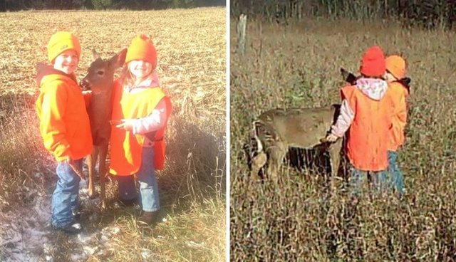Kids Taken To Hunt Deer End Up Befriending One Instead - The Dodo