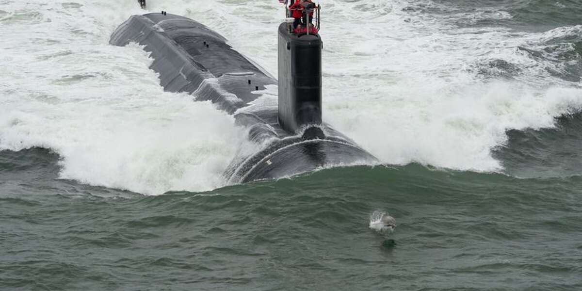 Badass Dolphins Steal The Show During Submarine's Unveiling - The Dodo