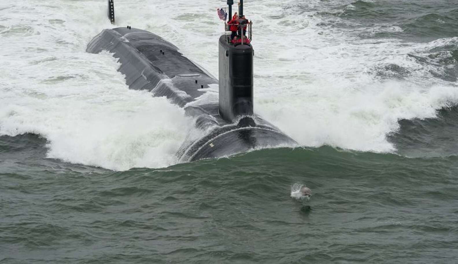 Badass Dolphins Steal The Show During Submarine's Unveiling - The Dodo