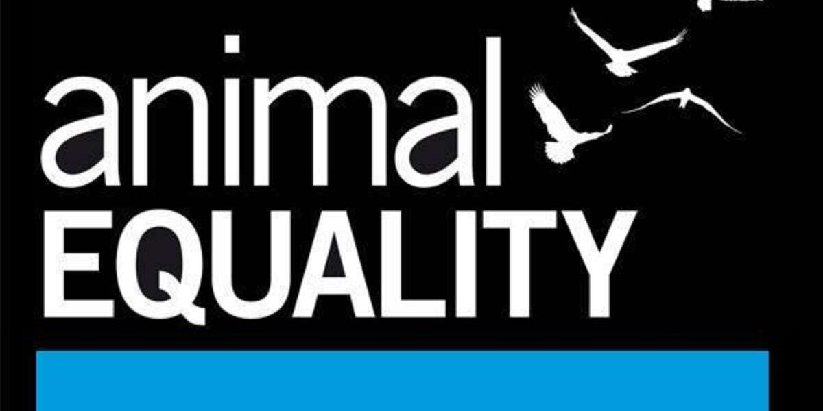 Animal Equality - The Dodo