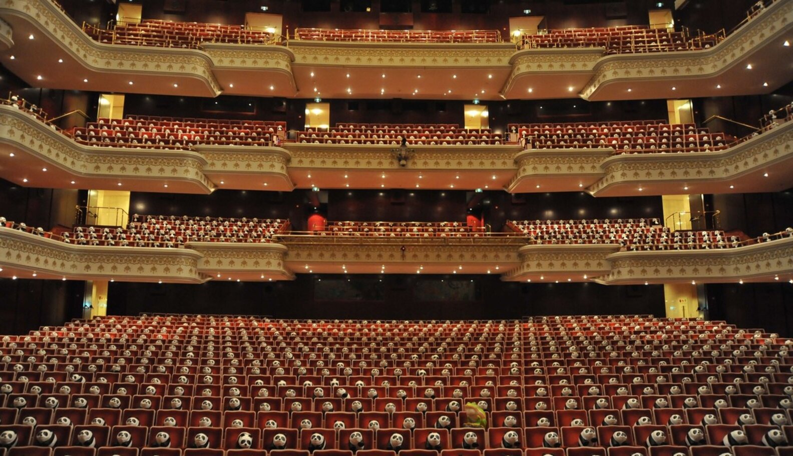 1,600 "Pandas" Take Over Taipei Theater - The Dodo