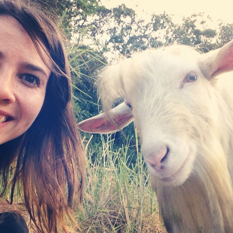 18 Goats You Can't Believe Even Exist - The Dodo