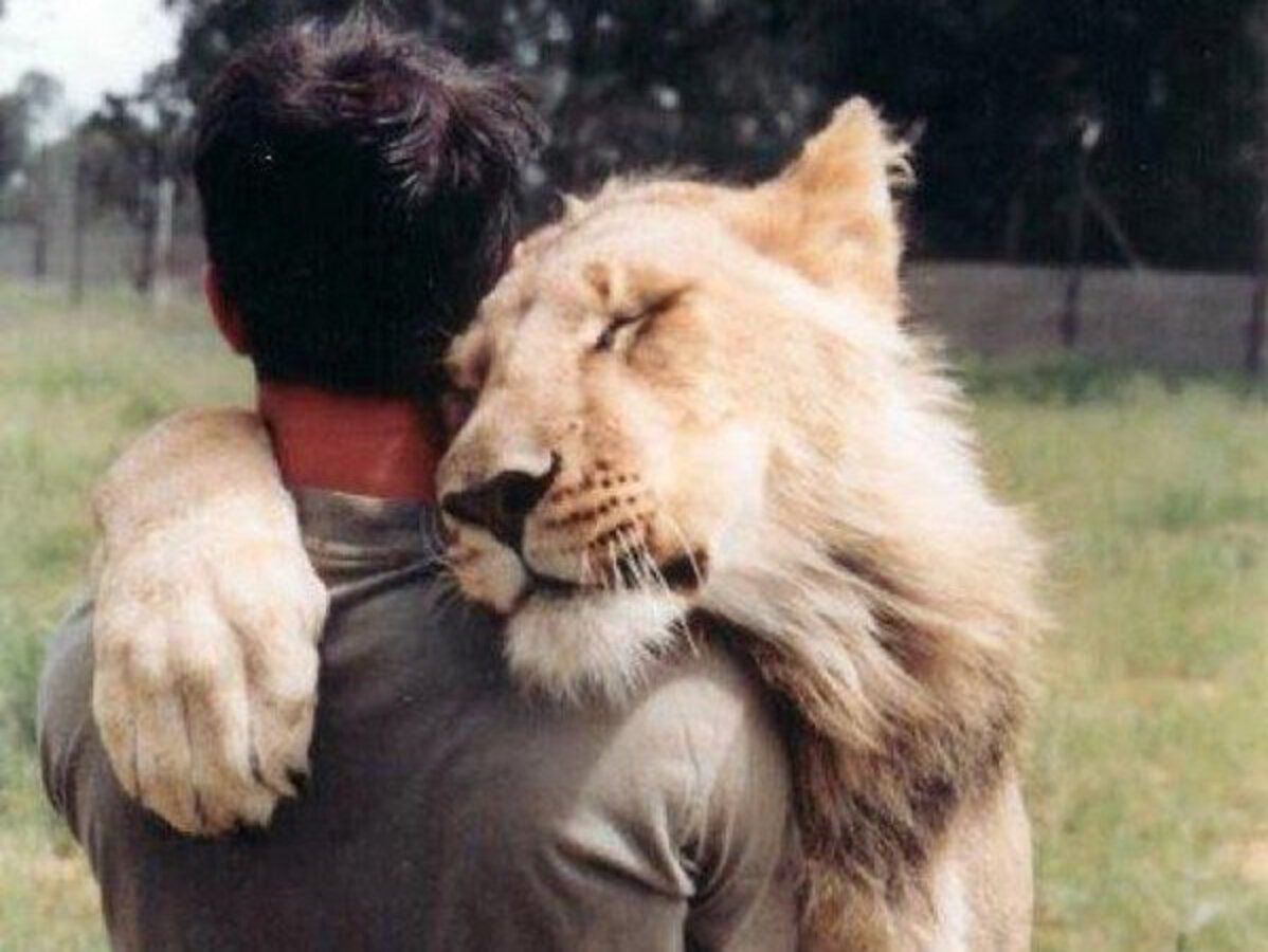 Animals hugging humans to cheer up your day (22 Photos) - The Dodo