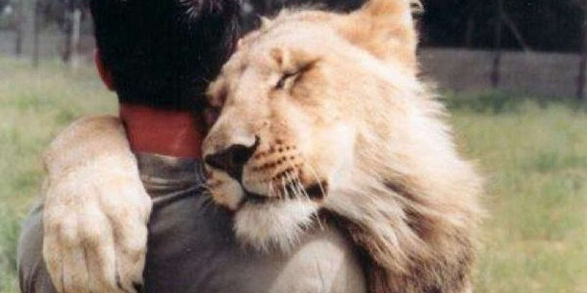 Animals hugging humans to cheer up your day (22 Photos) - The Dodo