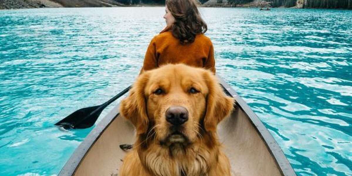 Owner Of World's Most Adventurous Dog Says He's 'Just Genuinely Happy ...