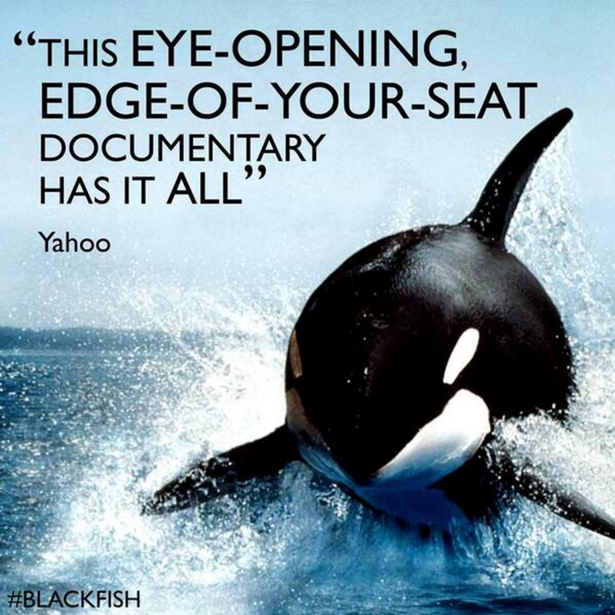 RT @OrcaSOS: Kim Ashdown's @azephyrgirl TRUTH in #BLACKFISH http://t.co ...