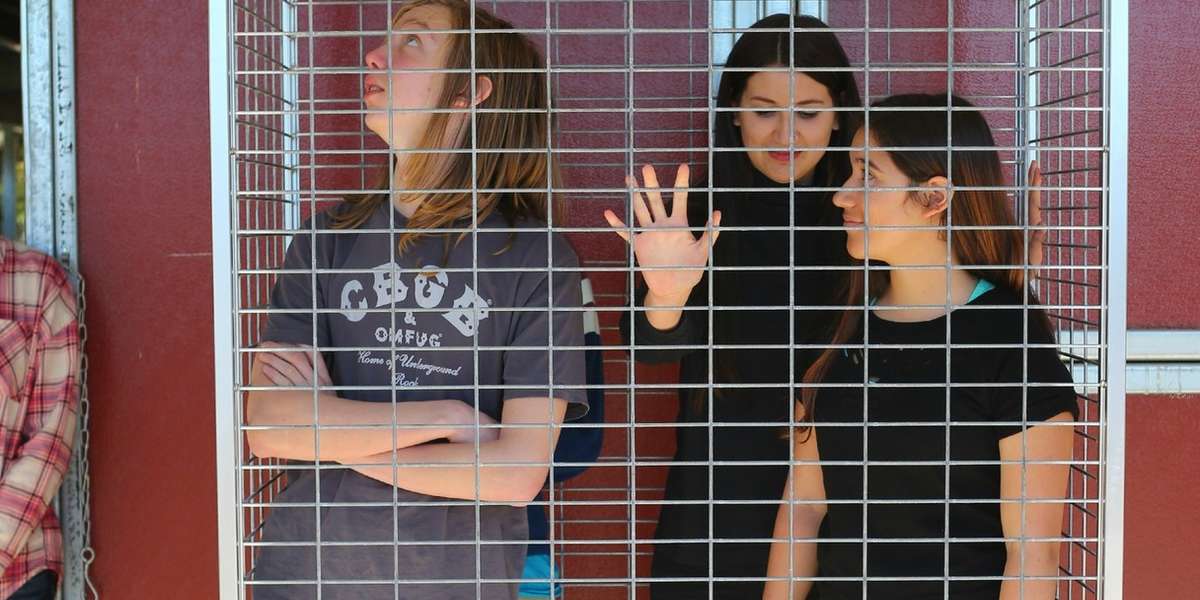 Humans Try Living Like Caged Chickens And It's Not Fun - The Dodo