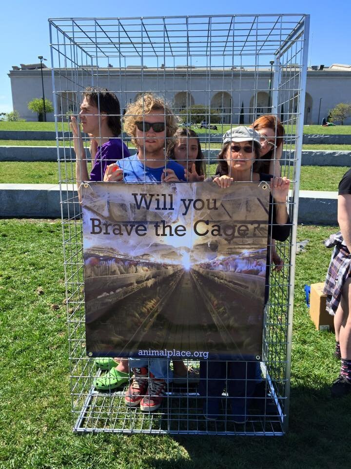 Humans Try Living Like Caged Chickens And It's Not Fun - The Dodo