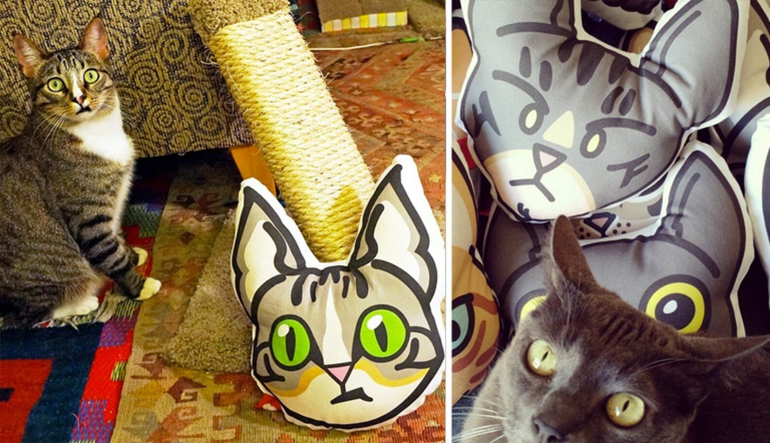 Here's The Perfect Gift For That Crazy Cat Person In Your Life - The Dodo