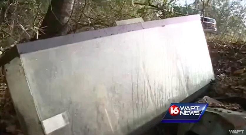 Man Finds Something Completely Unexpected In Fish Tank - The Dodo