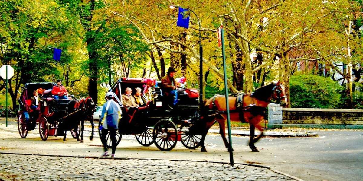 Workhorse: We Need To Unburden New York City’s Most Abused Workers ...