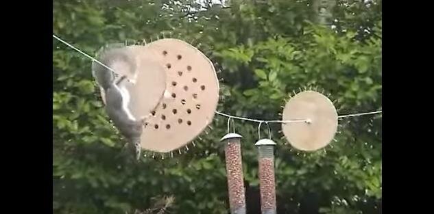 Man Creates Obstacle Course To Defend Bird Feeders From Ninja Squirrel ...