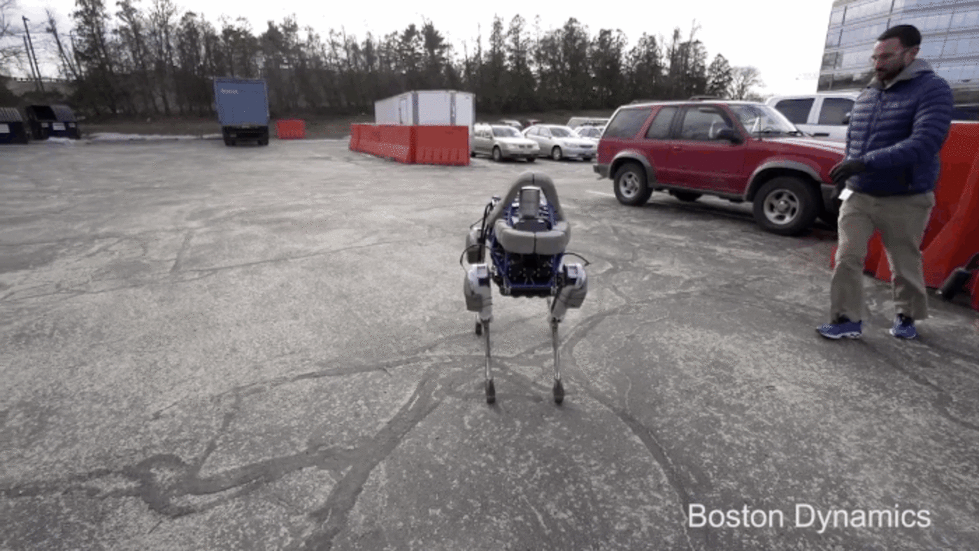 This Dog Robot Seems So Real We Felt Bad When Someone Kicked It - The Dodo