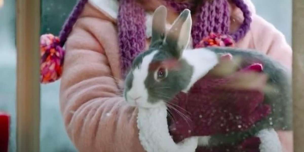 Cutest Ad Shows Why Everyone Needs A Home For The Holidays - The Dodo