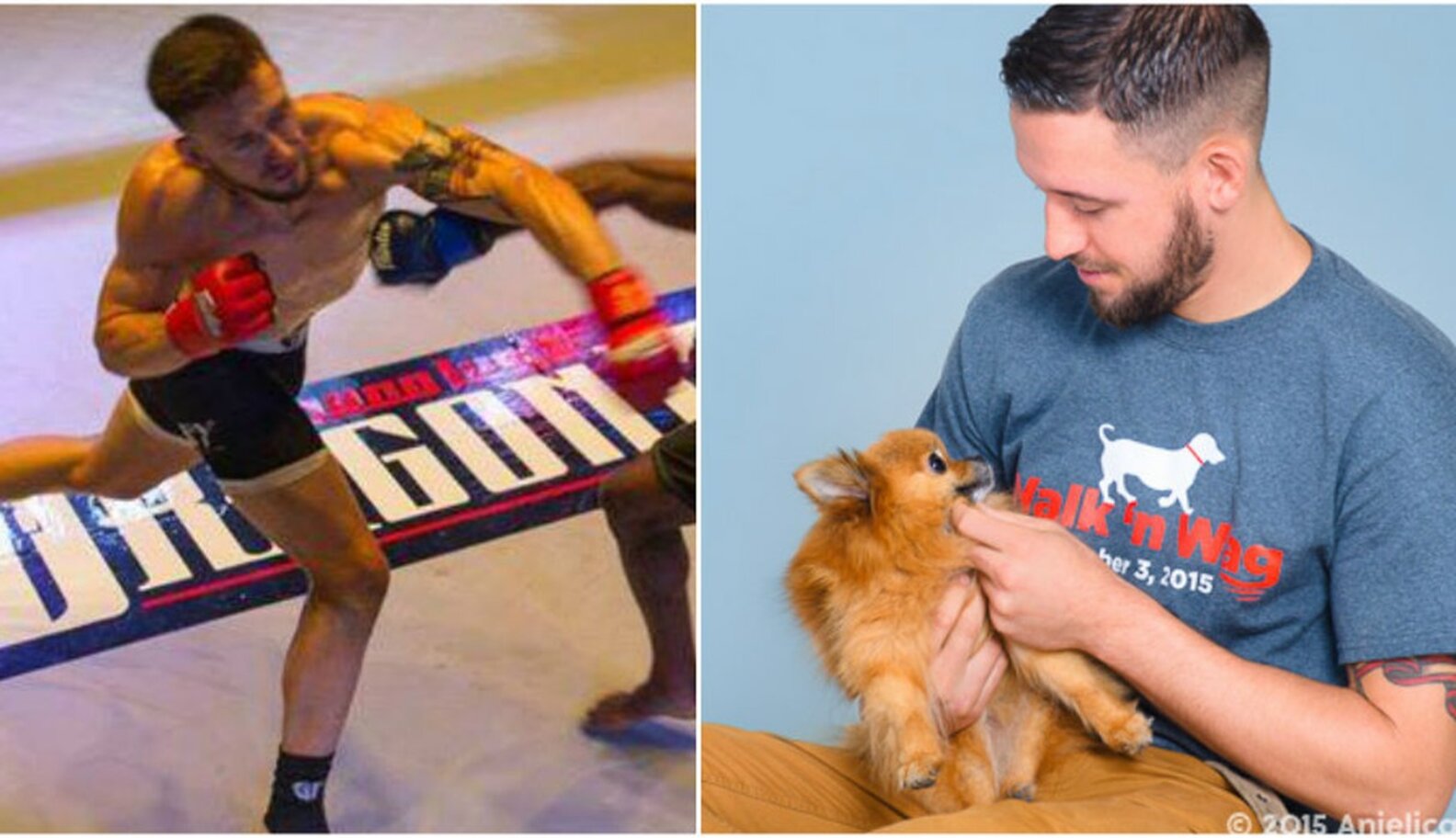 Pro Fighter Cuddles Dogs When He's Not Kicking Ass - The Dodo