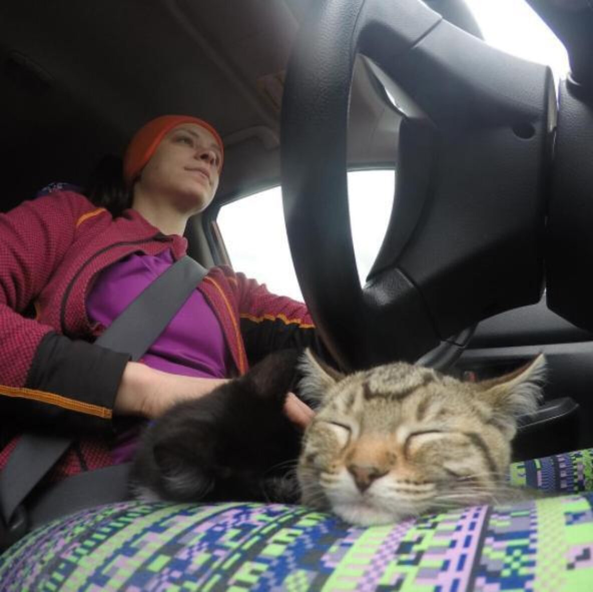 Cat Loves Sledding Down Hills On His Dad's Shoulder - The Dodo