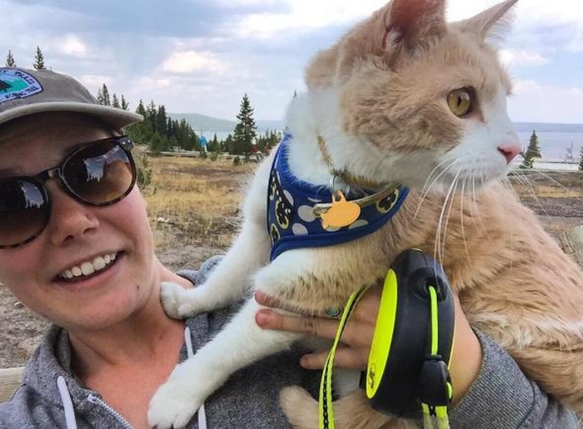 Cat Who Spent Most Of Her Life Indoors Is Road Tripping Across The ...