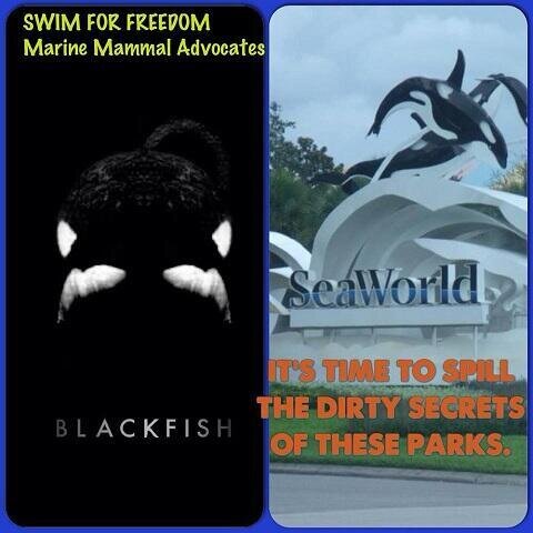 It is time for us to show what good education, banishing captivity # ...