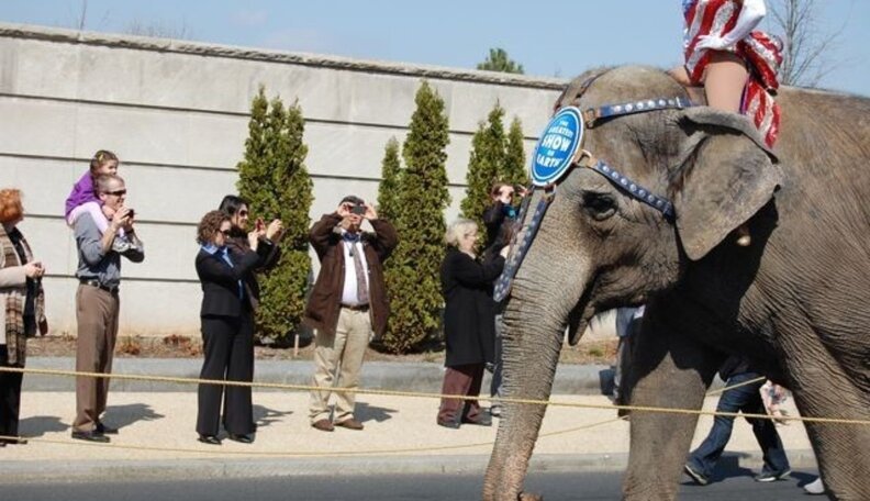 6 Things You Need To Know About The Ringling Bros. Settlement - The Dodo