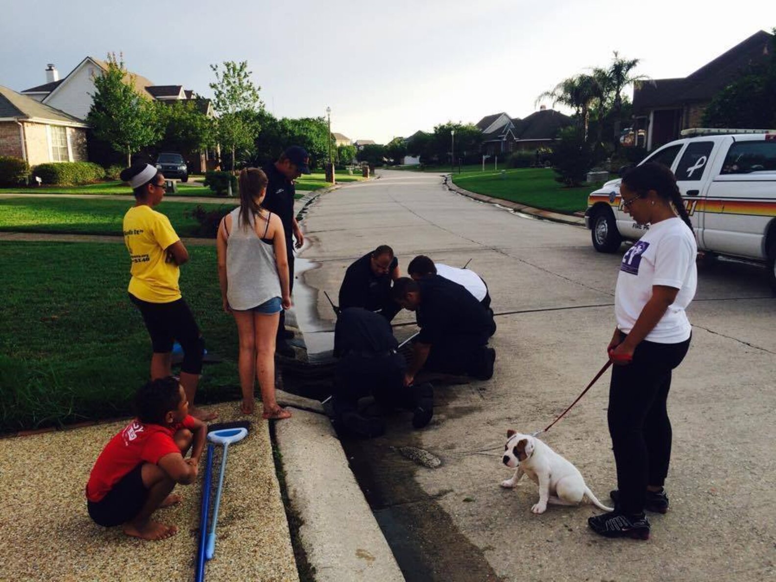Tiny Ducklings Trapped And Scared ... Until Firefighter Has A Brilliant ...