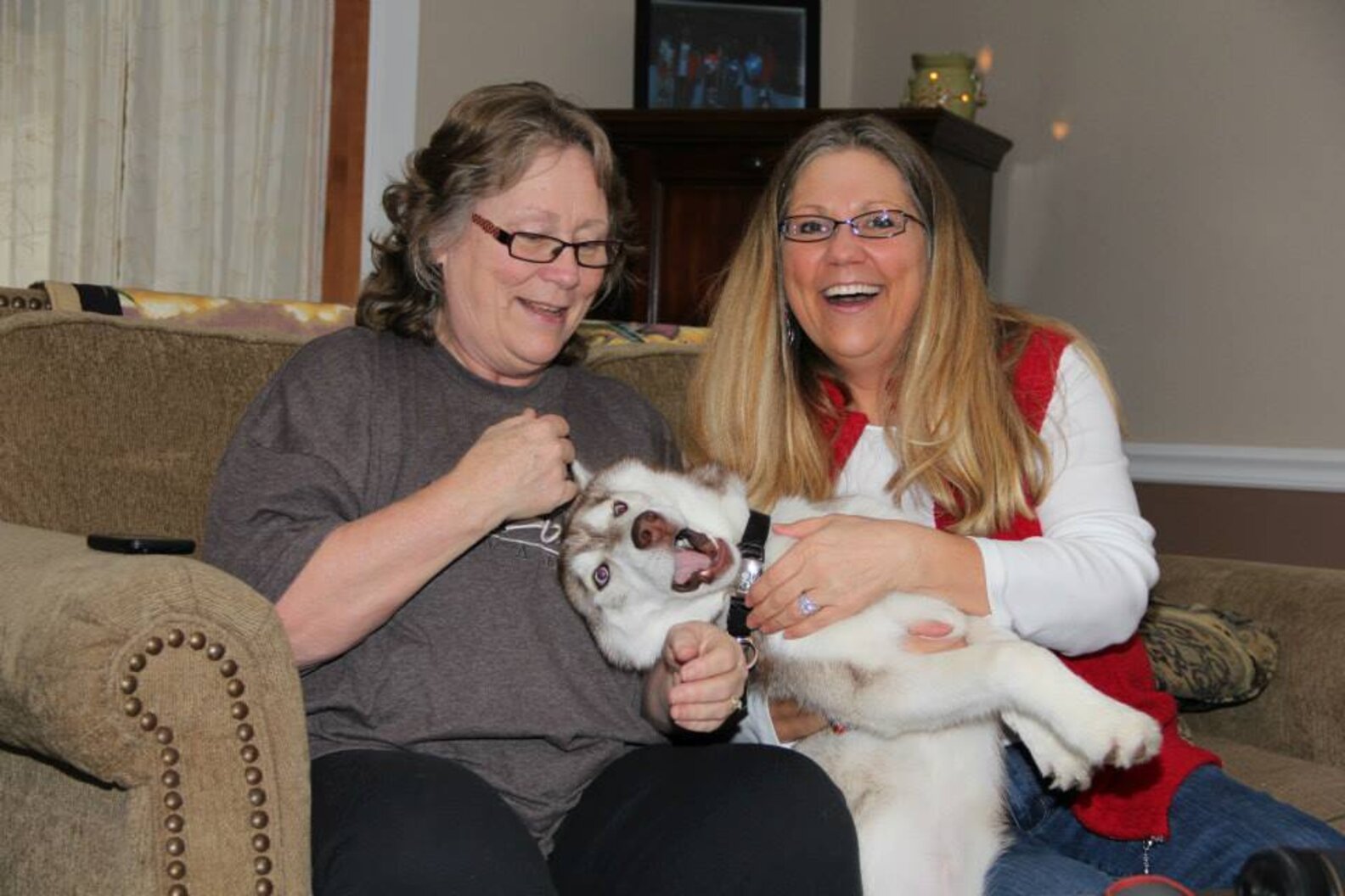 10 Things That Happen When Your Grandchild Is A Dog - The Dodo