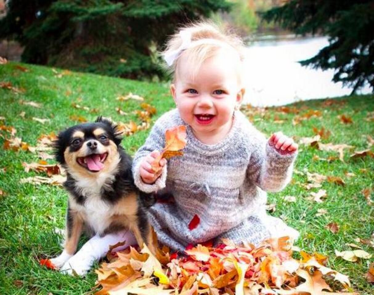 10 Things That Happen When Your Grandchild Is A Dog - The Dodo