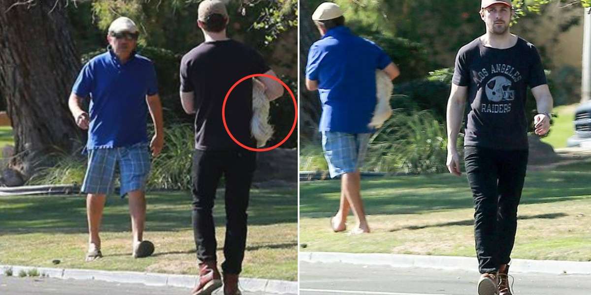 Ryan Gosling Casually Saves A Dog During A Date - The Dodo