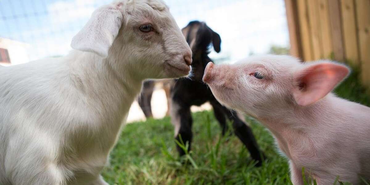 'Happiest Video Ever' Has 10 Perfect Moments To Make Us Love Life Today ...