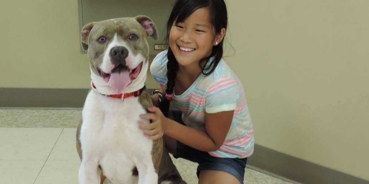 9-Year-Old Perfectly Sums Up Why Rescuing A Dog Is So Worth It - The Dodo